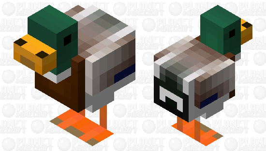 pato-real (Anas platyrhynchos) Minecraft Mob Skin