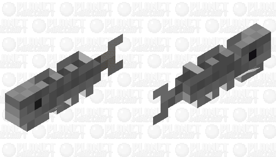 Skeleton Cod Minecraft Mob Skin