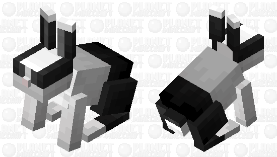 Toast! Minecraft Mob Skin