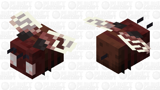 Nether Bee Minecraft Mob Skin