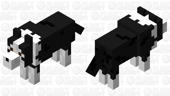 Border Collie ( remake ) Minecraft Mob Skin