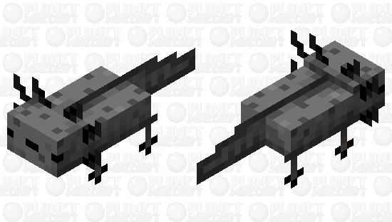 Grey Axolotl Minecraft Mob Skin