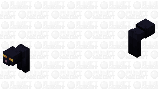 Meme cat Minecraft Mob Skin