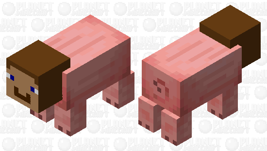 Steve's a pig! Minecraft Mob Skin