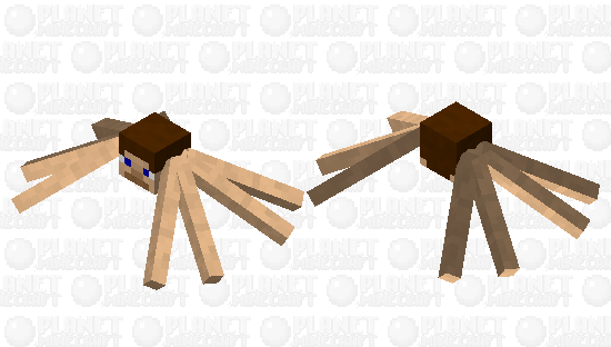 stevepider Minecraft Mob Skin