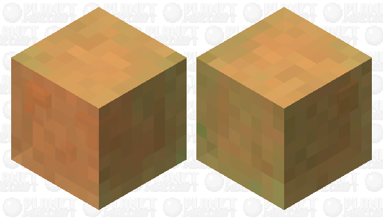 Hollow Knight infected balloon Minecraft Mob Skin