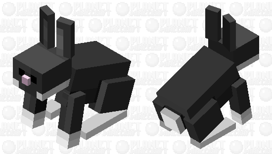 Black and White Bunny (7/10 of Farm Series) Minecraft Mob Skin