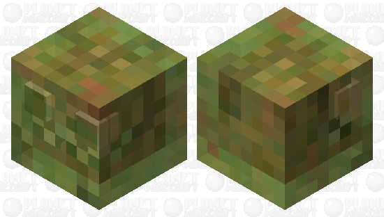 Cursed Slime (𝕱𝖔𝖗𝖇𝖎𝖉𝖉𝖊𝖓 𝕾𝖔𝖚𝖑𝖘) Minecraft Mob Skin