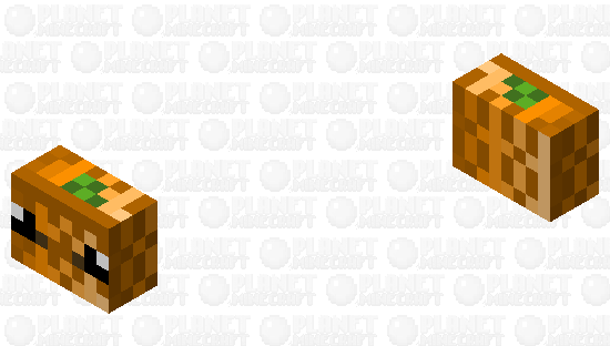 Pumpkin??? Minecraft Mob Skin