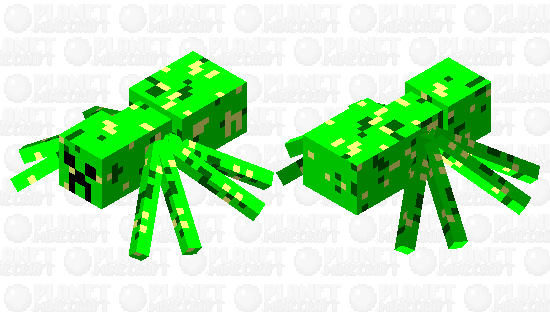spider creeper Minecraft Mob Skin