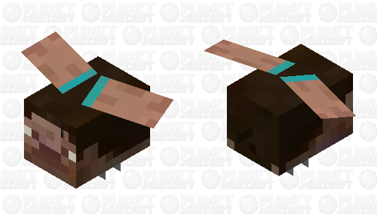 steve bee Minecraft Mob Skin