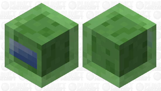 A rather suspicious slime Minecraft Mob Skin