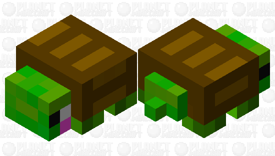 Turtle Minecraft Mob Skin