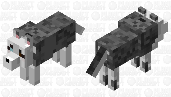 Siberian Husky Minecraft Mob Skin