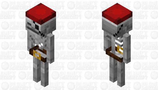 The Pirate Skeleton Minecraft Mob Skin