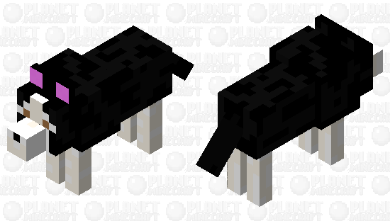 Border Collie Minecraft Mob Skin