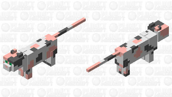 cat_0shi Minecraft Mob Skin