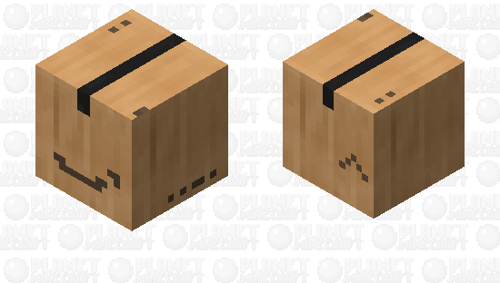 Amazon Delivery Minecraft Mob Skin