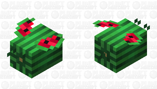 Flying Watermelon Minecraft Mob Skin