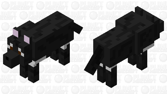 Border Collie Seal Minecraft Mob Skin