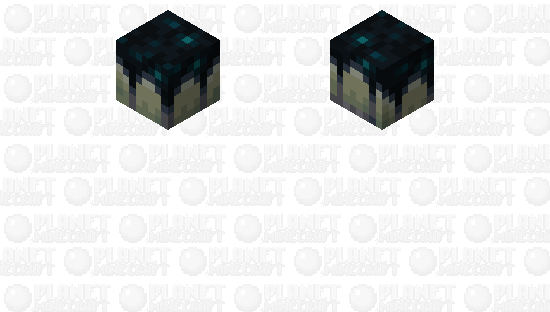 Sculk Minecraft Mob Skin