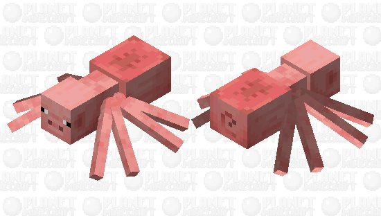 Cursed Spider Pigs Minecraft Mob Skin