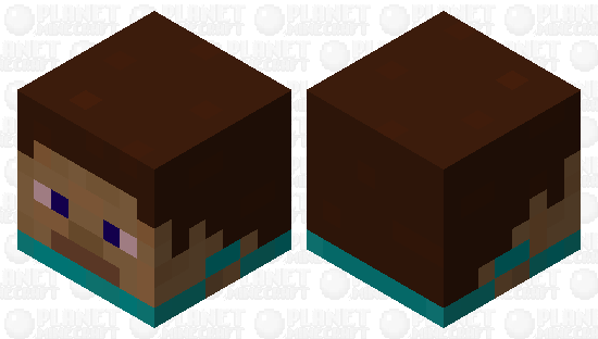 Barf Steve Minecraft Mob Skin