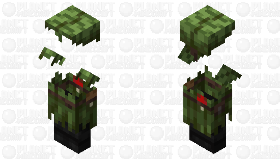 Biome Swamp Minecraft Mob Skin