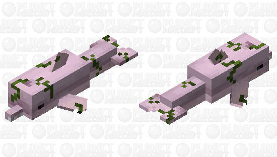 African River Dolphin Minecraft Mob Skin