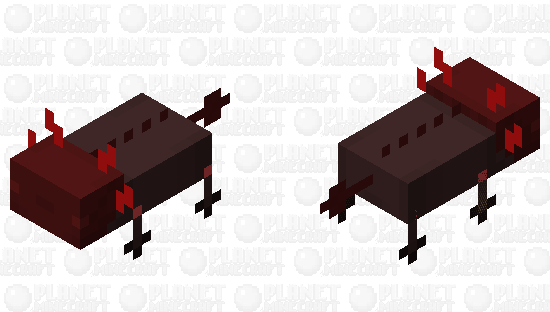 Rixter as An Axolotl Minecraft Mob Skin