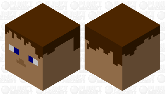 Steve Cube Minecraft Mob Skin