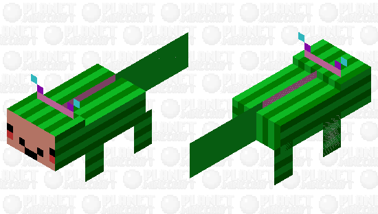 Cocomelon Axolote (part of Cocomelon set) Minecraft Mob Skin