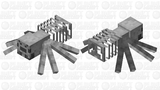 Spider Skeleton Minecraft Mob Skin