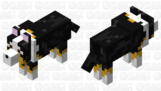 Border Collie Tricolor Minecraft Mob Skin