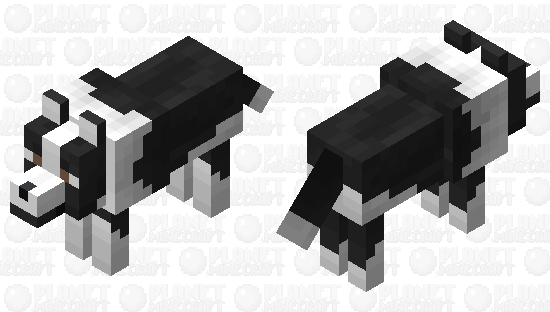 Border collie Minecraft Mob Skin