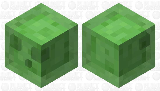 Slime Boy Minecraft Mob Skin