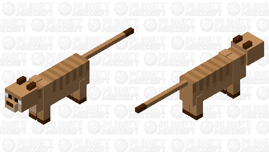 return of the meerkat! meerkat looks cuter than the fox#boo fox yay ...