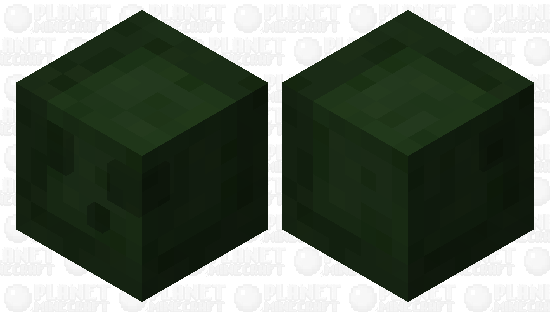 Black Slime Minecraft Mob Skin