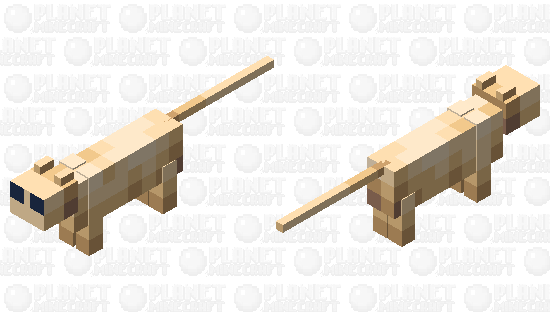 8x8 Persian Cat Minecraft Mob Skin