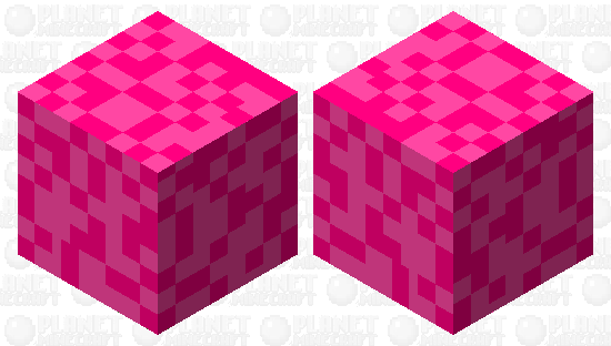 brain Minecraft Mob Skin