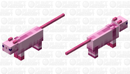 Caxolotl [Black] - Axolotls. Minecraft Mob Skin