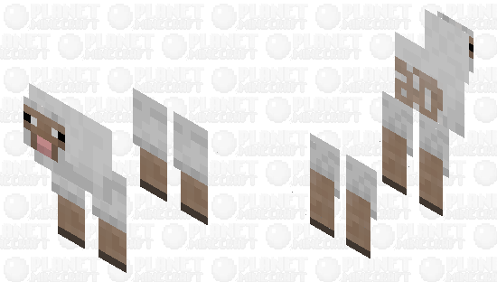 Sheep but just the front Minecraft Mob Skin
