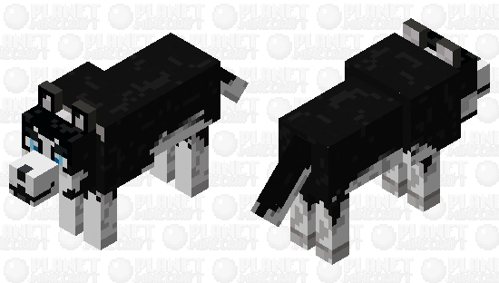 Husky Minecraft Mob Skin