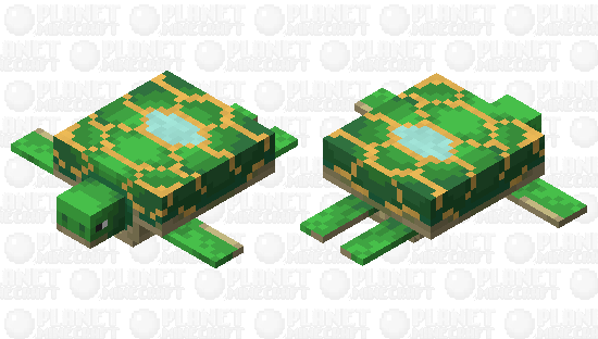 Sweg turtle Minecraft Mob Skin