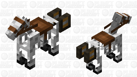 8x8 Skeleton Horse Minecraft Mob Skin