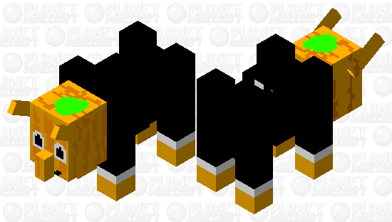 pumkin Minecraft Mob Skin