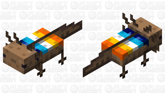 axolotl with Aroace flag draped on its back Minecraft Mob Skin