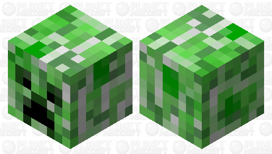 look inside the creeper Minecraft Mob Skin