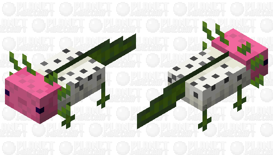 Dragon fruit axolotl Minecraft Mob Skin