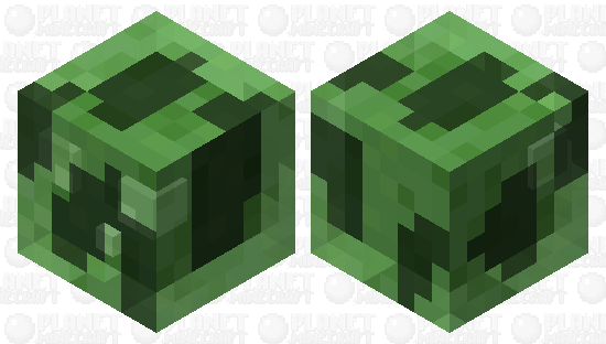 Corrupted Slime Minecraft Mob Skin